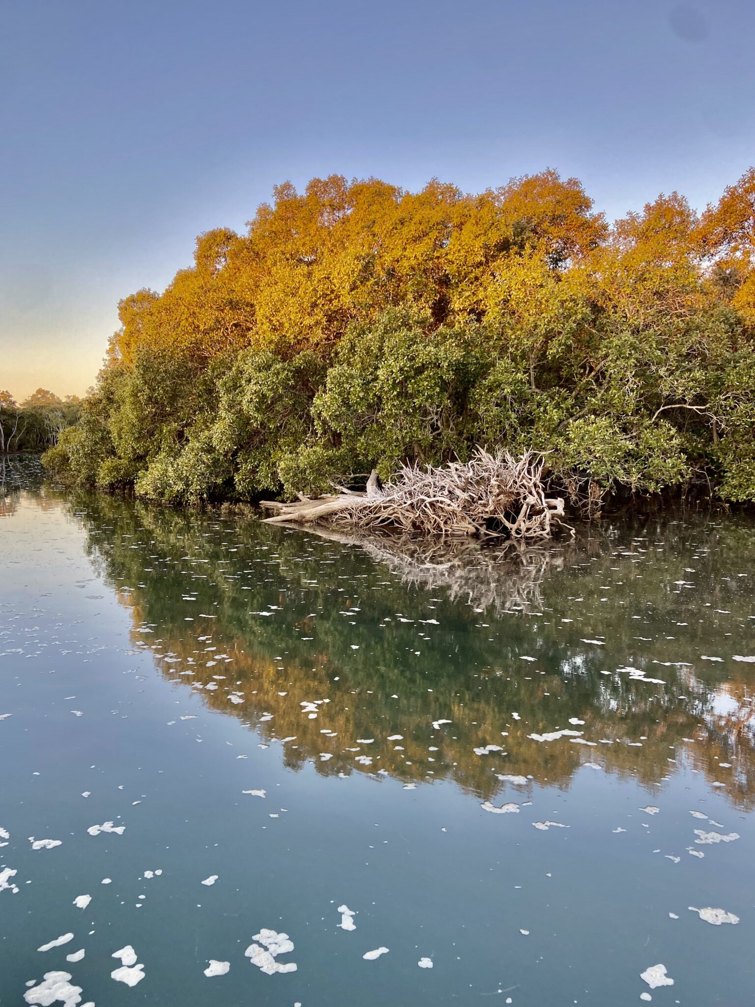 Everything is Practice – Zen Peacemakers